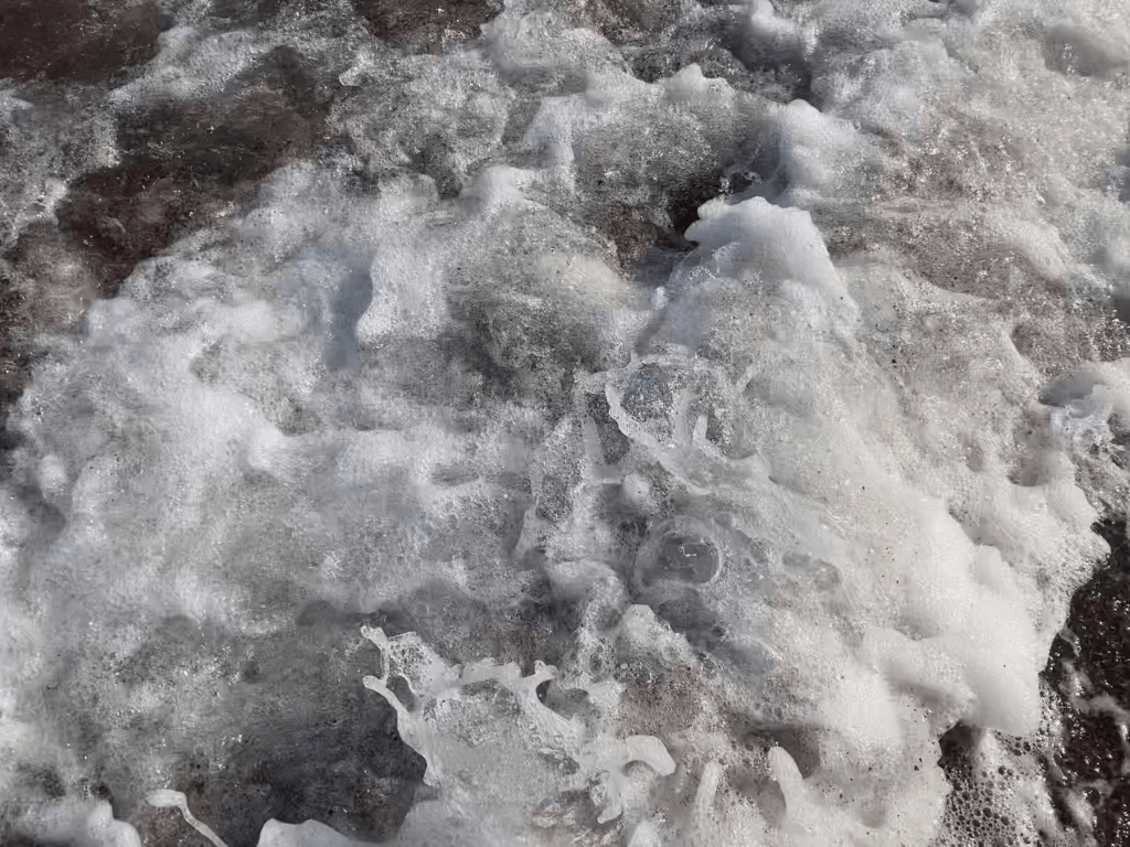 Silas Curtis: CAST AWAY / TERRA NULLIUS – OSMOSIS PRESS